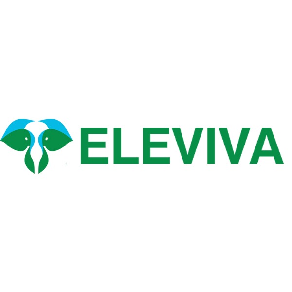 ELEVIVA STORE, Online Shop | Shopee Philippines