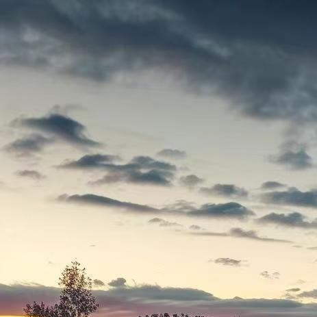 Avelyn Ashbriar, Online Shop | Shopee Philippines