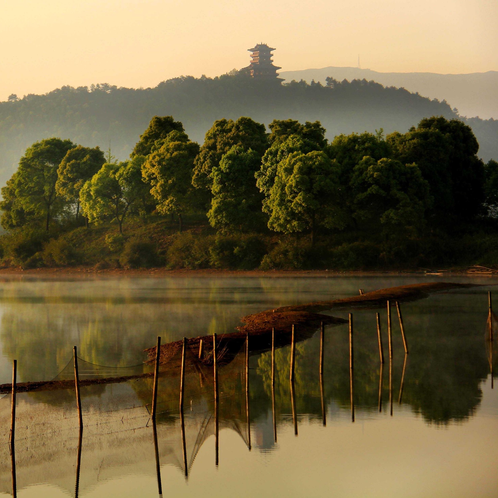 PH-Brian Store-B40, Online Shop | Shopee Philippines