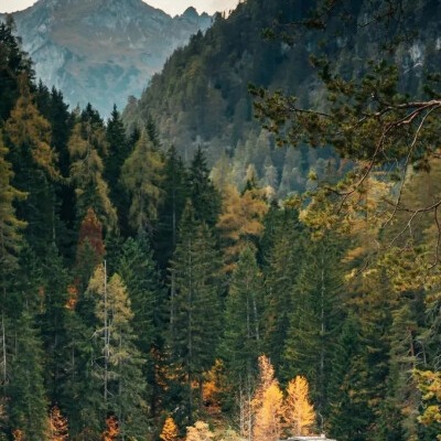 Logan Stephenson, Online Shop | Shopee Philippines