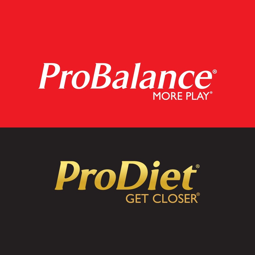 Probalance & Prodiet, Online Shop | Shopee Philippines