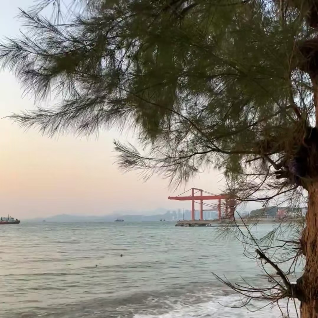 Marcus Cain, Online Shop | Shopee Philippines