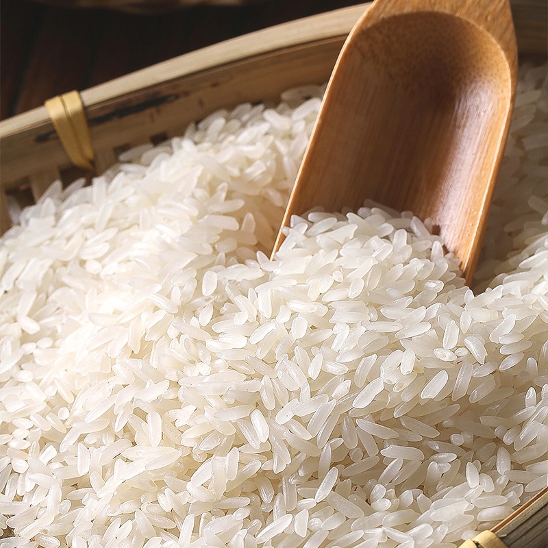 Shirataki Rice Factory Store, Online Shop | Shopee Philippines