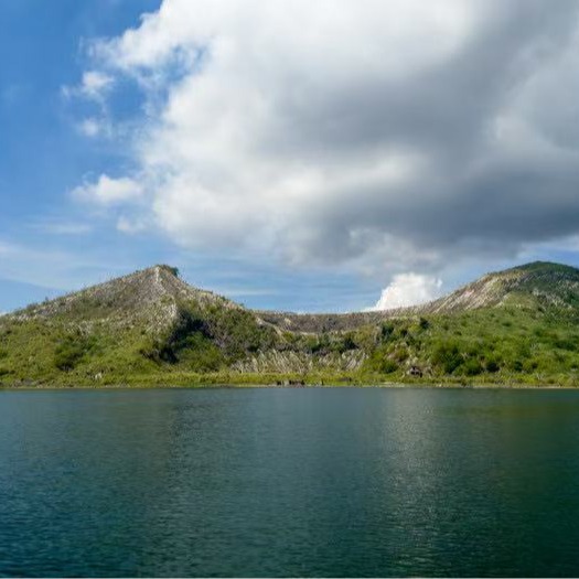 Riley Patton, Online Shop | Shopee Philippines