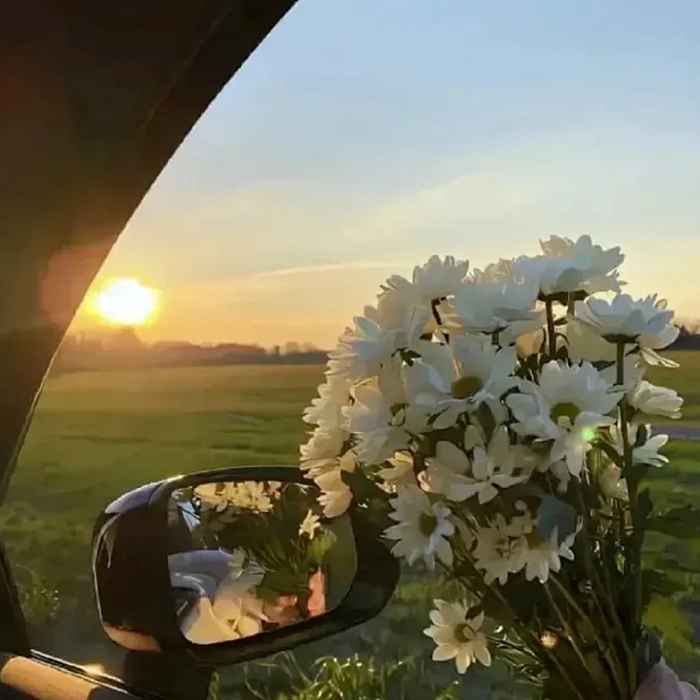 Montgomery.Warlike, Online Shop | Shopee Philippines