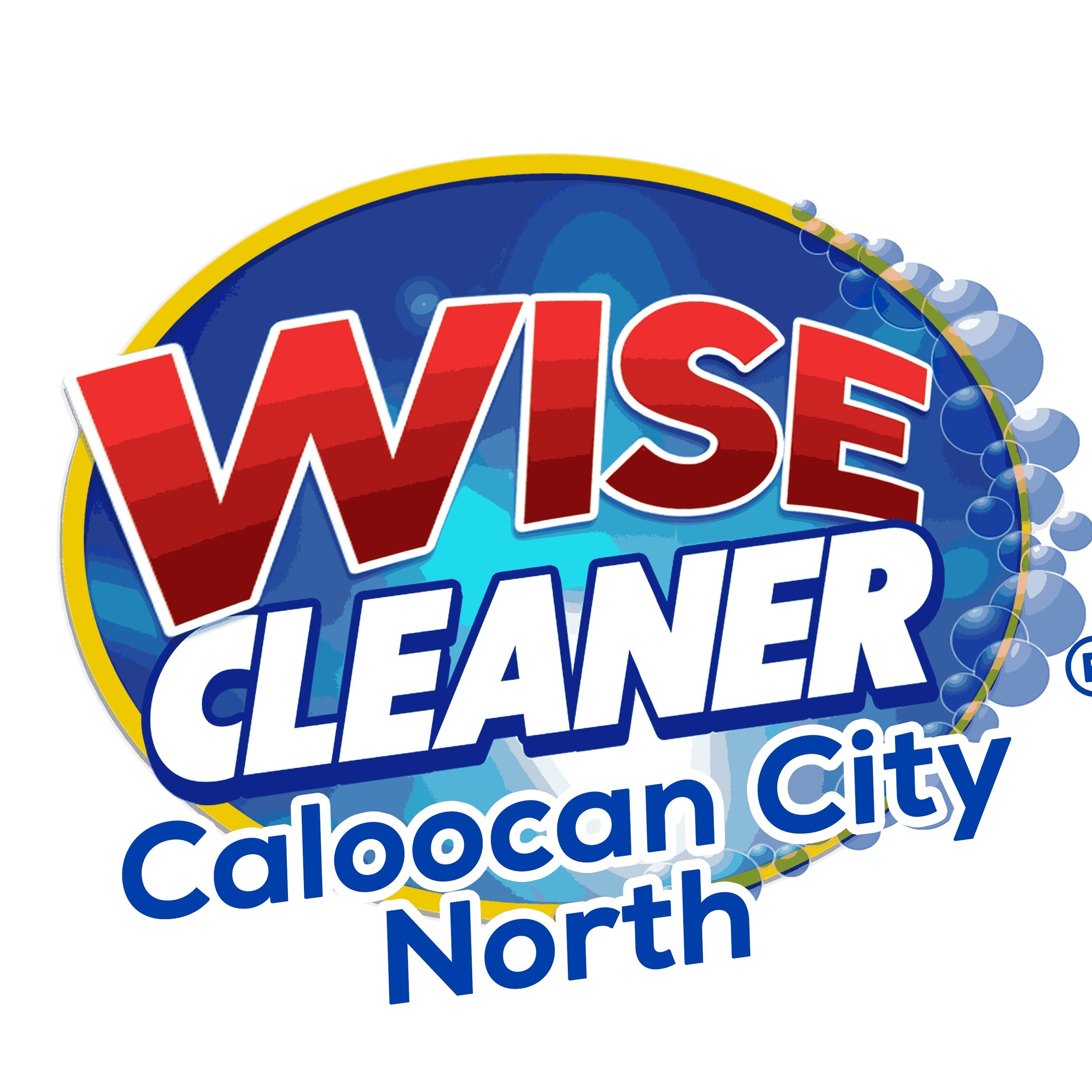 Wise Cleaner Caloocan City, Online Shop | Shopee Philippines