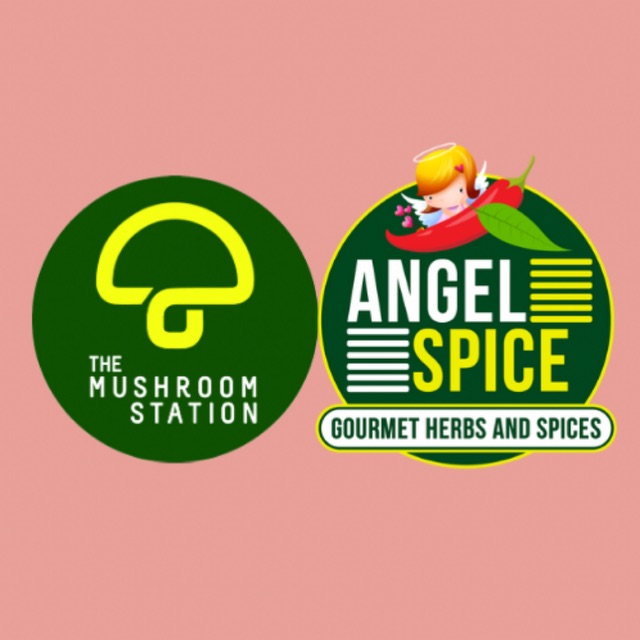 Angel-Spice Mushroom Station , Online Shop | Shopee Philippines