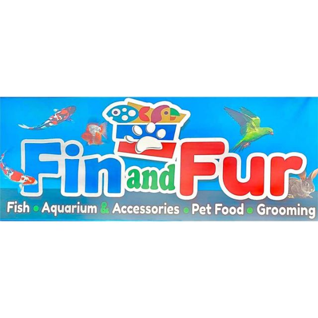 Fin and Fur Pet Shop, Online Shop | Shopee Philippines