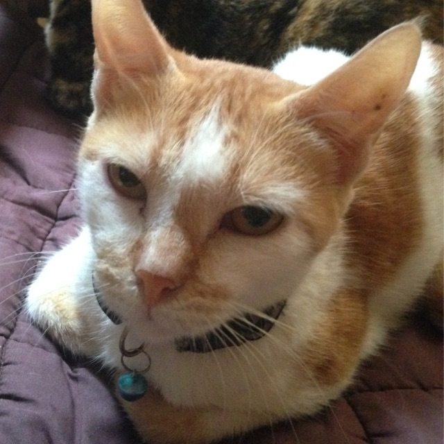 joyce_delfin, Online Shop | Shopee Philippines