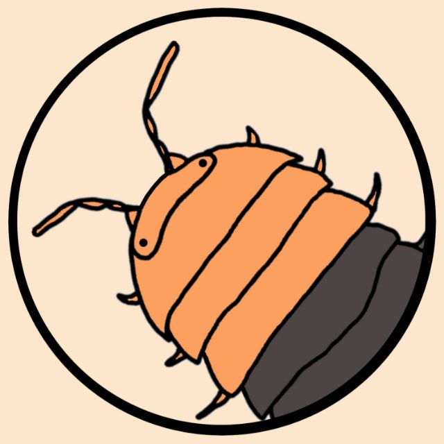 Exopods.ph, Online Shop | Shopee Philippines Exopods.ph, Online Shop | Shopee Philippines