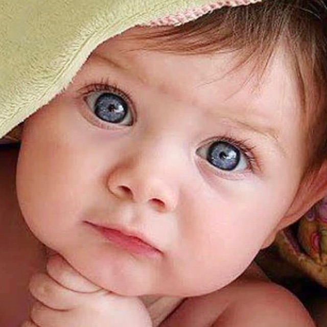 Chelsea Merch, Online Shop | Shopee Philippines